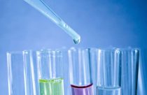 2019 Kenya Science & Engineering Fair (KSEF) Categories - Teacher.co.ke