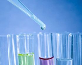 2019 Kenya Science & Engineering Fair (KSEF) Categories - Teacher.co.ke