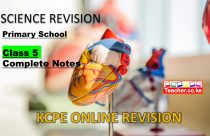 2021 Term 2 Standard 5 Exams and Marking Schemes - Teacher.co.ke