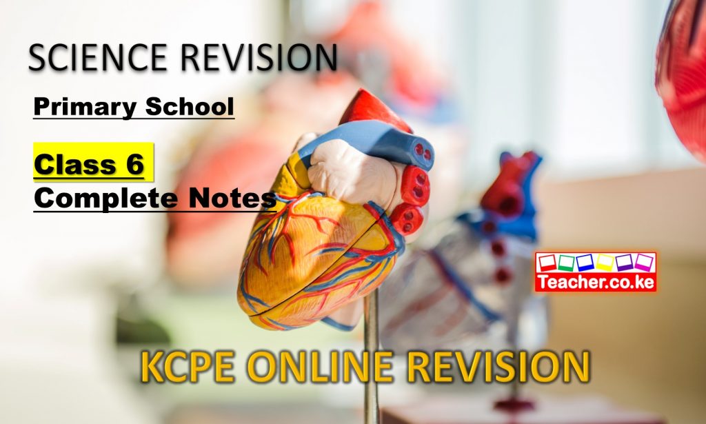 Science Class 6 Summary Notes - Teacher.co.ke