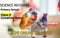 Standard 6 2021 Term 1 Exams Set 1 Questions And Answers - Teacher.co.ke