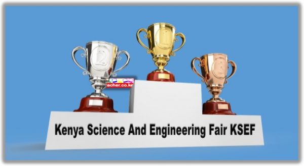 Kenya Science and Engineering Fair Association KSEF Constitution ...