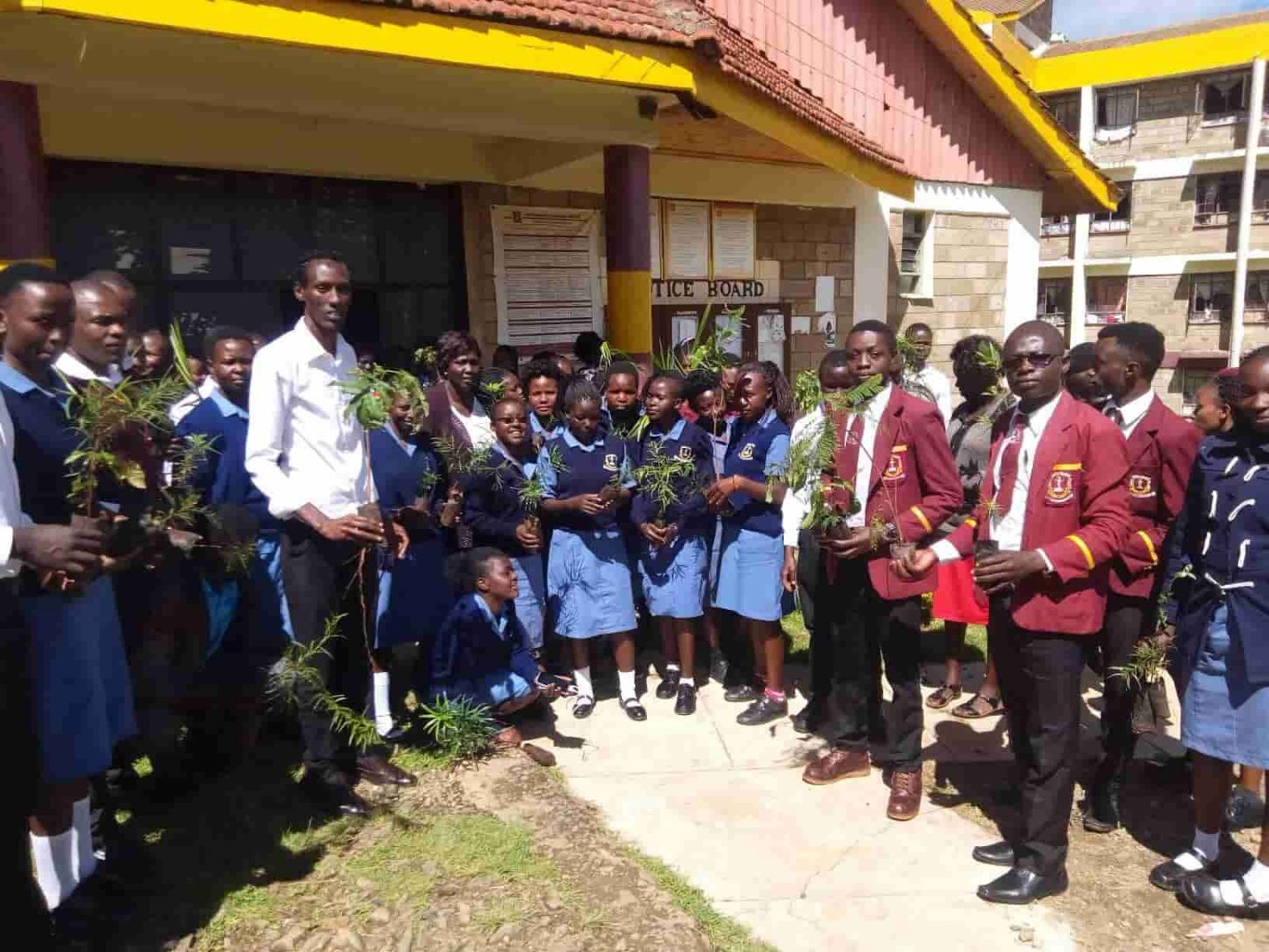 KUCCPS KMTC Application Now Open :Guide On How to Apply - Teacher.co.ke