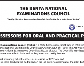 Grade 3, 4 And 5 Learners to Sit For KNEC Assessment This Month ...