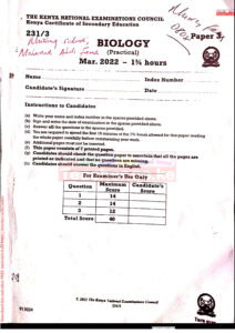 2021 KCSE Past Papers with Marking Schemes - Teacher.co.ke