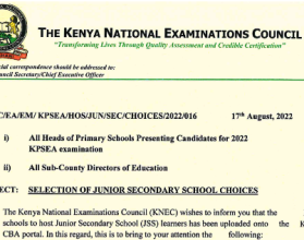 KNEC Releases Grade 6 KPSEA 2022 Examination Timetable and Instructions ...